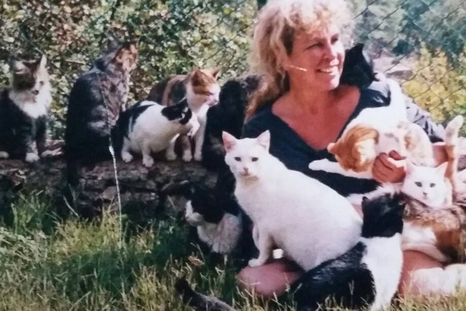 Fundraiser for pauline crowe by Kim Adams : Marmaris Cat Shelter WILL CLOSE