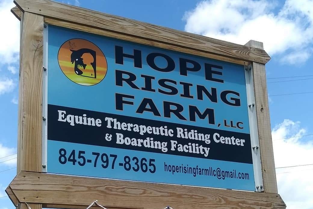 Fundraiser by Hope Rising Farm : Therapeutic Horses Healing Hearts