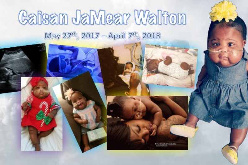 Fundraiser for Jamila Walton by Genette Floyd : Caisan's Journey