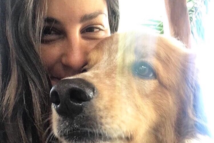 Fundraiser for Cinnamon Janzer by Mandi Tipton : Get Well Soon Gussy!!