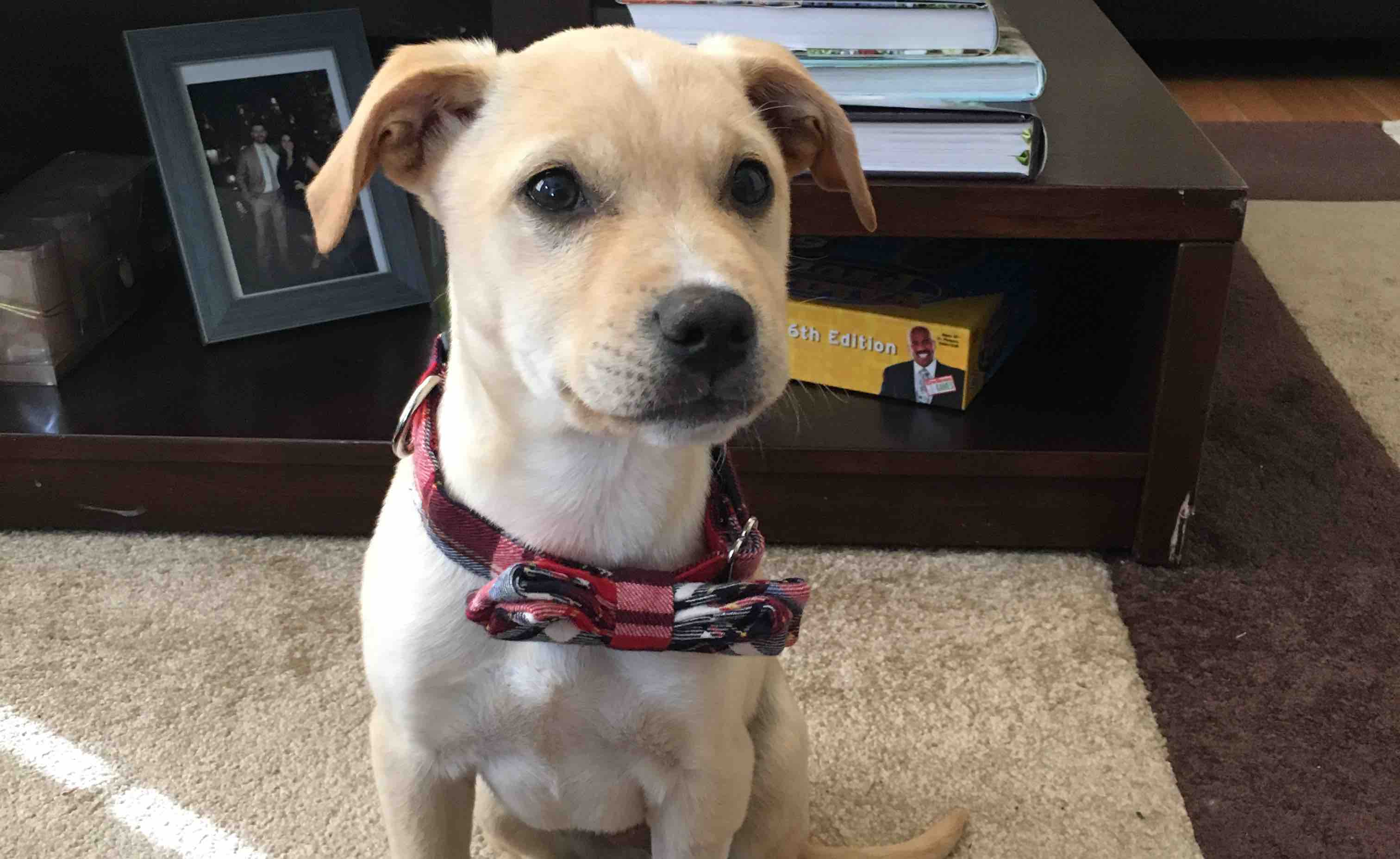 Fundraiser for Greg Rodden by Nicole Rodden : The Cooper Fund