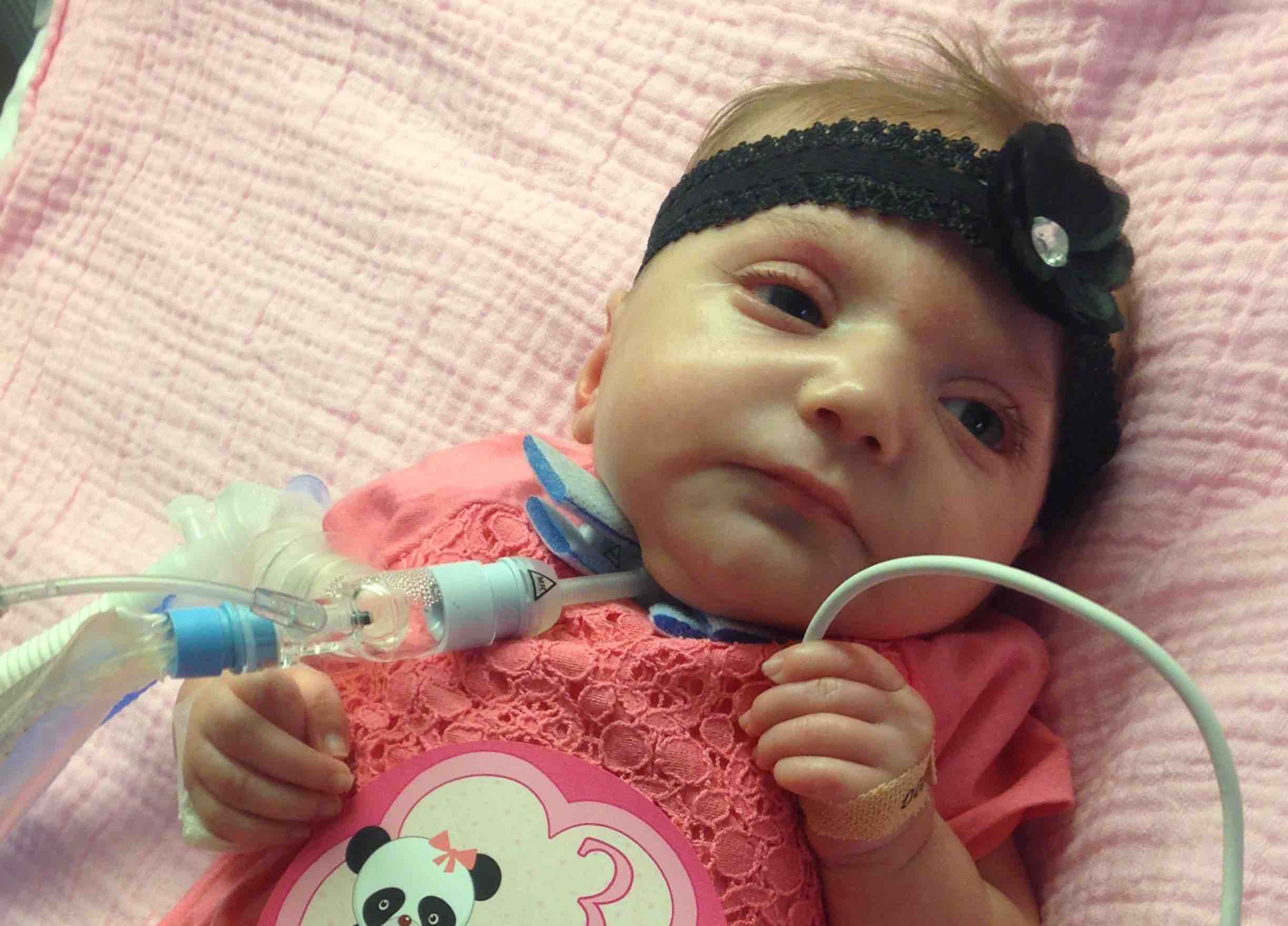 Fundraiser by Fred Sasso : Daniella Sasso Fund