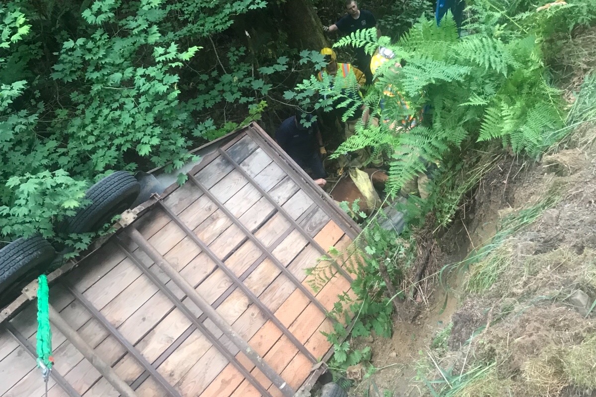 Fundraiser by Jenn Rau : For Andy, Copper, and Kahlo