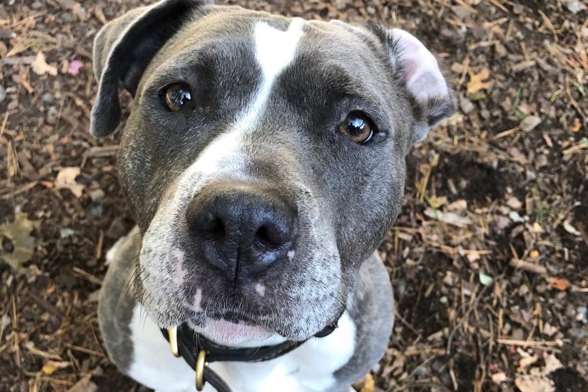 Fundraiser for Jeni Dwyer Mather by Daniel Welch : Strength for Skye