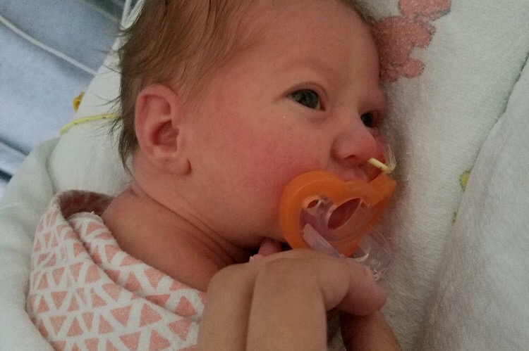 Fundraiser for Nikolaus Ness by Mary Miller Alarcon : Danielle Marie ...