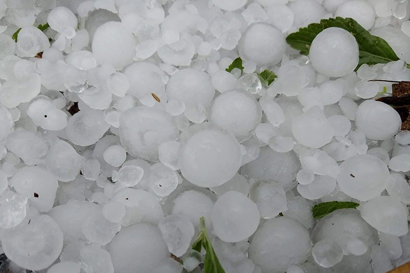 Fundraiser for Erin Griffith by Daniel Hindes : Support Aspen Moon Farm ...