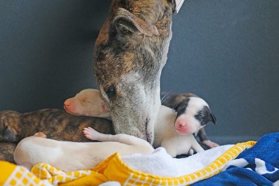 Fundraiser for Tina Solera by Sarah Netter : Increase Security at ...