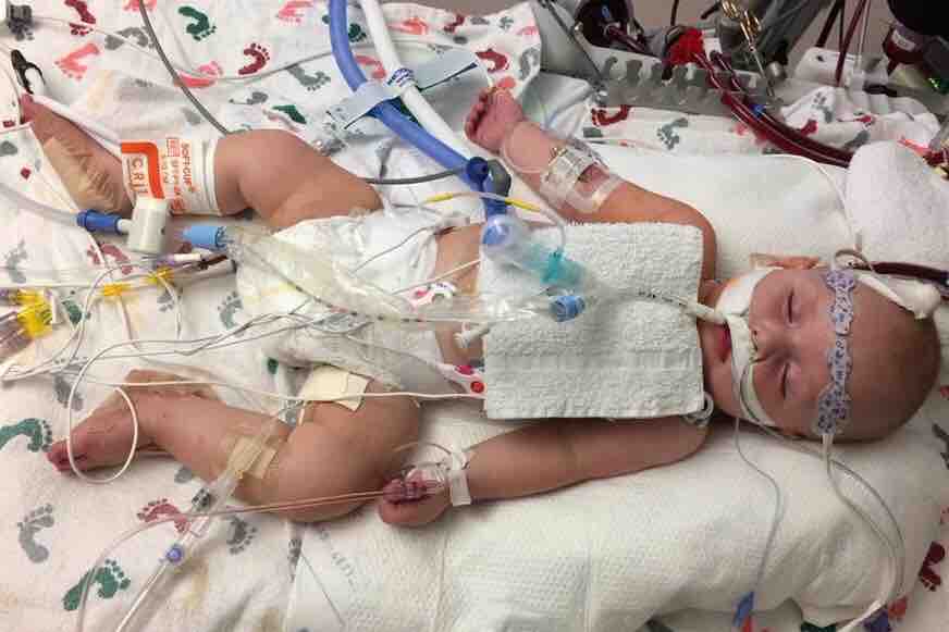 Fundraiser for Ellie Morales by Molly Jones Hall : Support forSevi