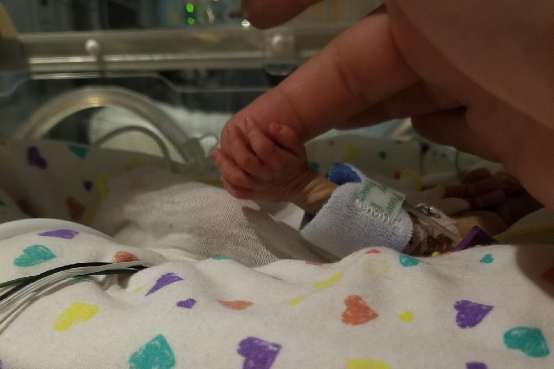 Fundraiser for Daniel Kosinski by Luke Moczydlowski : Baby Daniel Jr. Fund