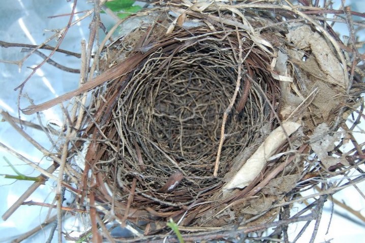 Fundraiser for Claudia Smith by Jonathan Shipman : A little help from ...