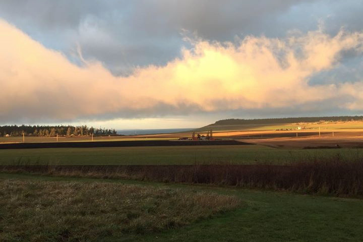 Fundraiser by Jan Pickard : Joseph's Exciting Opportunity