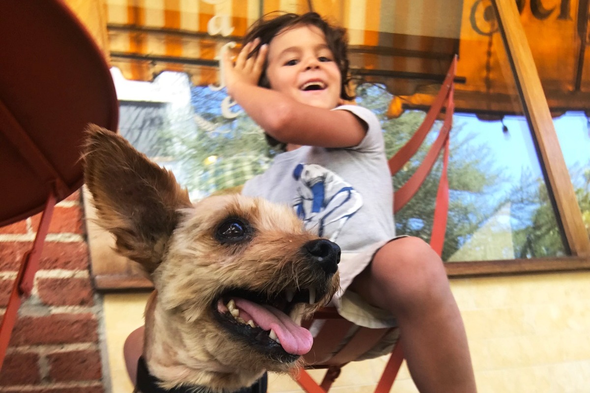 Fundraiser for Noah Cornell by Anna Birkas : Noah, Abel, and Carlotta ...