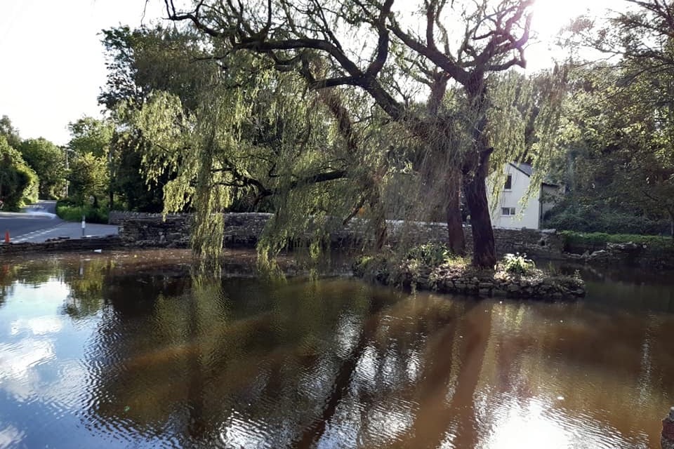 Fundraiser by Richard Barnes : Save Fonmon Pond - Community Fund