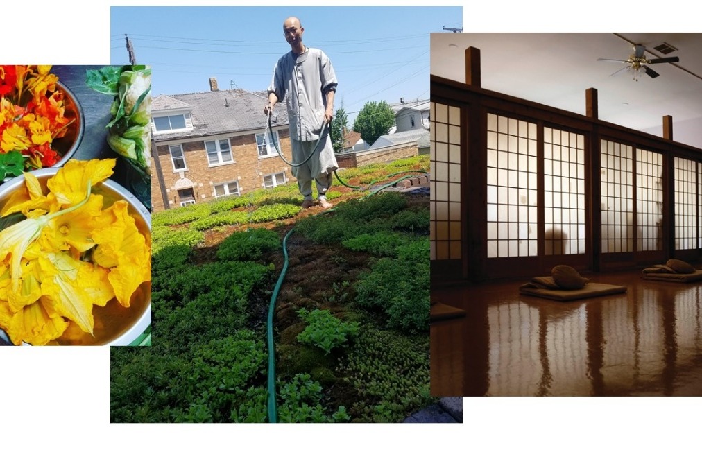 Fundraiser by Detroit Zen Center : Detroit Zen Center Public GreenRoof