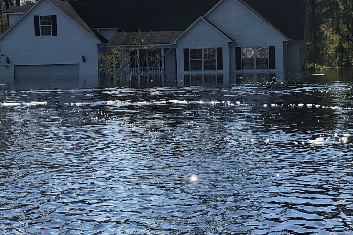 Fundraiser for Patti Mazzara by Tracey Woodard : Patti Mazarra