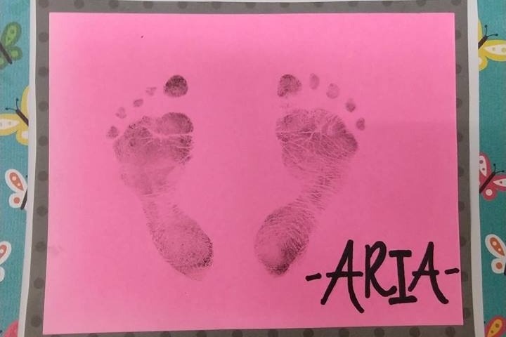 Fundraiser by Jason Breig : In Loving Memory of Aria Mary Parks