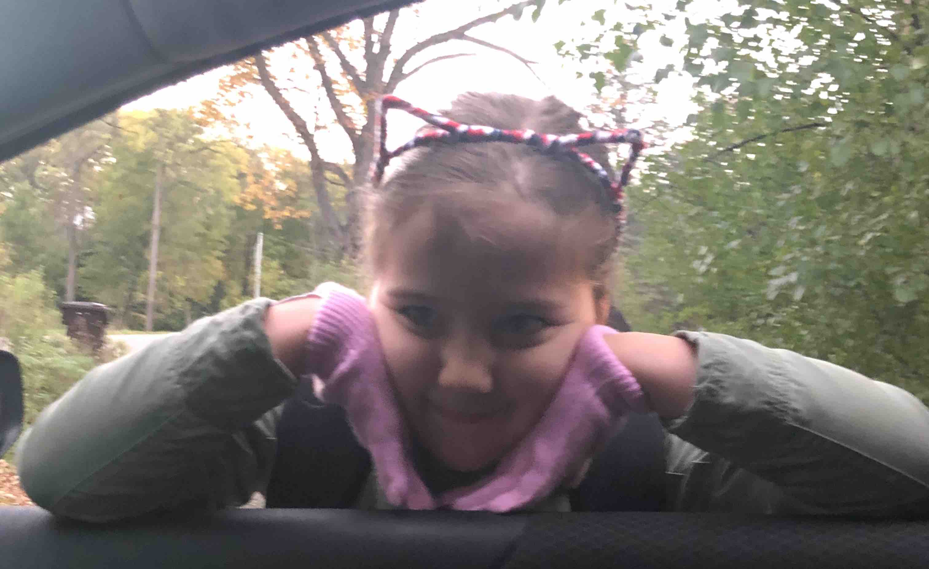 Fundraiser by Jerri Reeves : Autism Support Dog for Kaylee Bonham