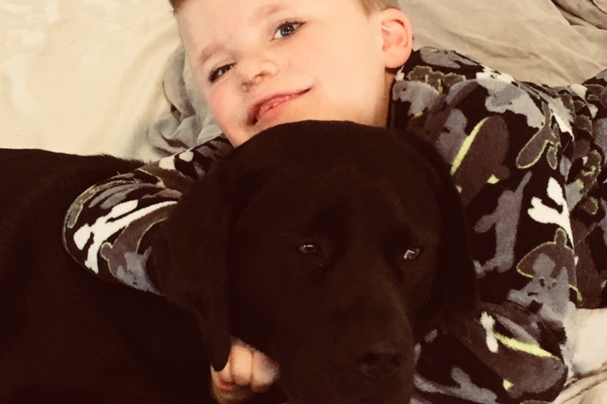 Fundraiser by Liz Tesone : Jordy's buddy ‘Fritzi’