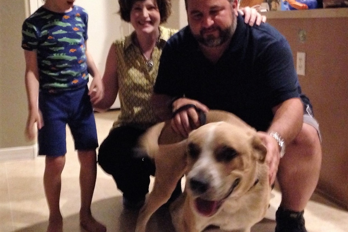 Fundraiser by Stuart Levy : Funeral For Holly Batchelor-Levy
