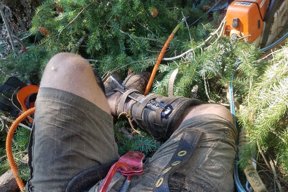 Fundraiser by Damon Hatdt : Fallen Tree Climber Needs Temp Help