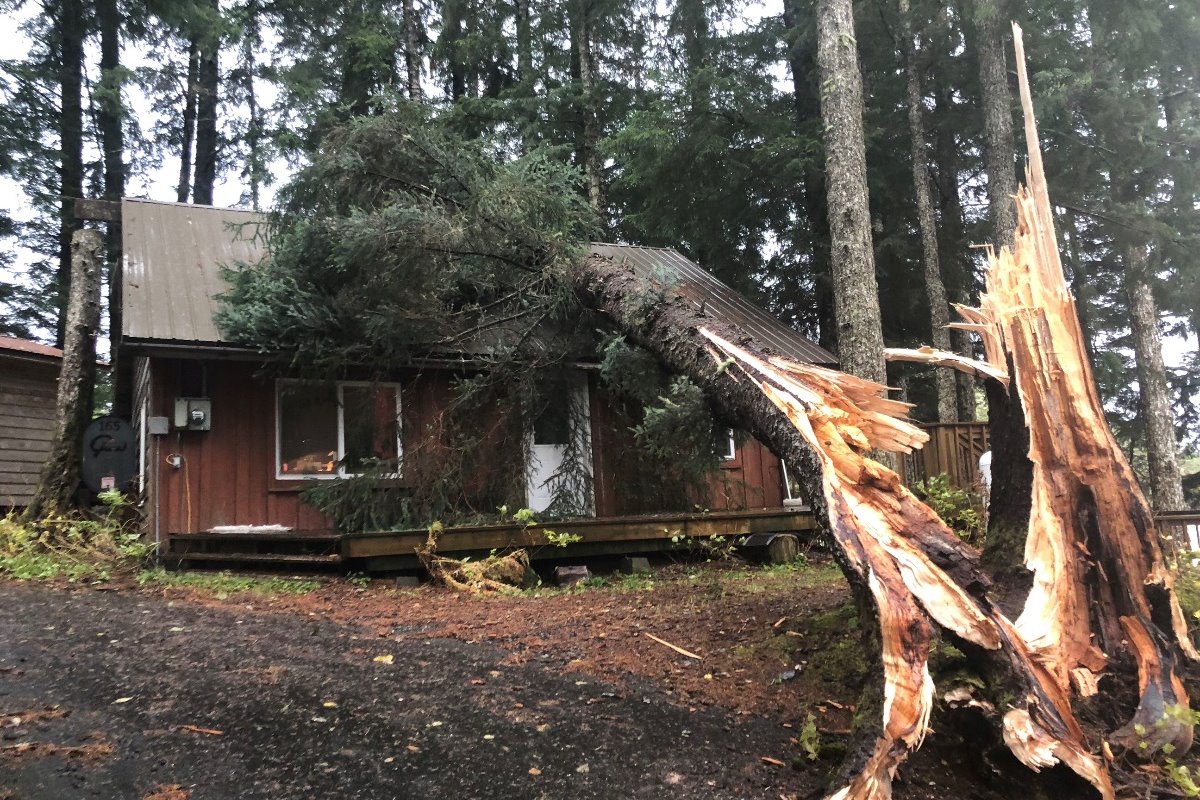 Fundraiser by Alana Stickney : Eyak Lake Home Hit by a Hemlock!