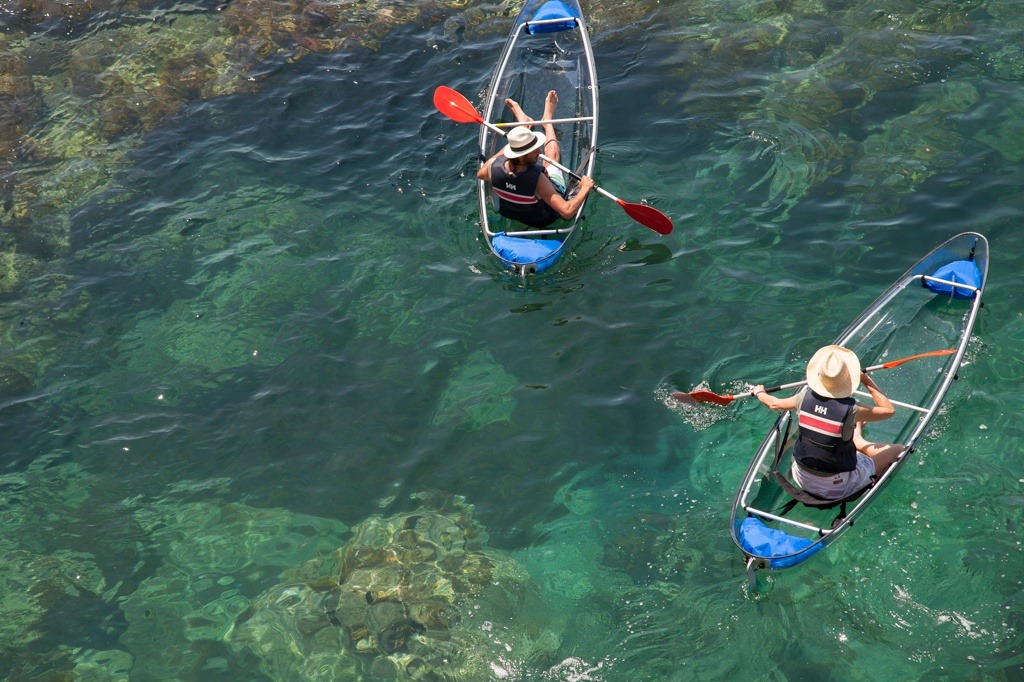 Fundraiser by Lindsay Taflas : Invasive Plant Patrol Kayak