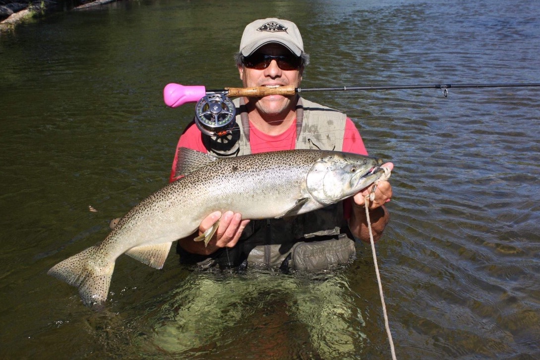 Fundraiser by Molly Gentry : Mick’s Medical Expenses