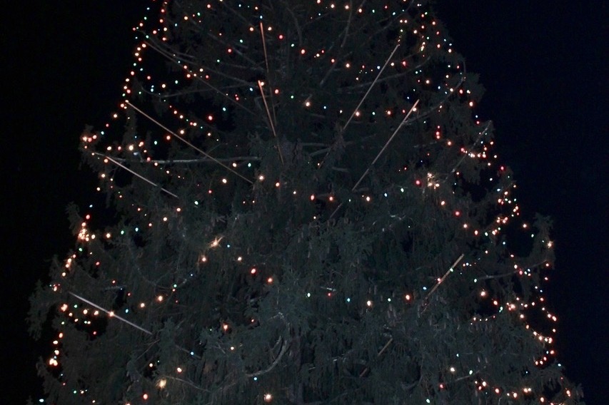 Fundraiser by Anne Hanley : Katonah Tree and Menorah Lighting