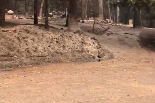 Fundraiser for Casey Upton by Luna Bear : Support MageGladen After CA Fire