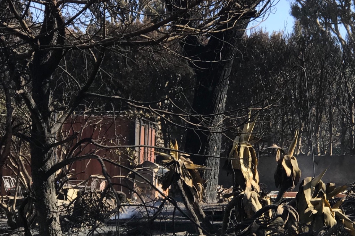 Fundraiser for Rachel Rondell by Samantha Castles : Lynne Rondell's ...