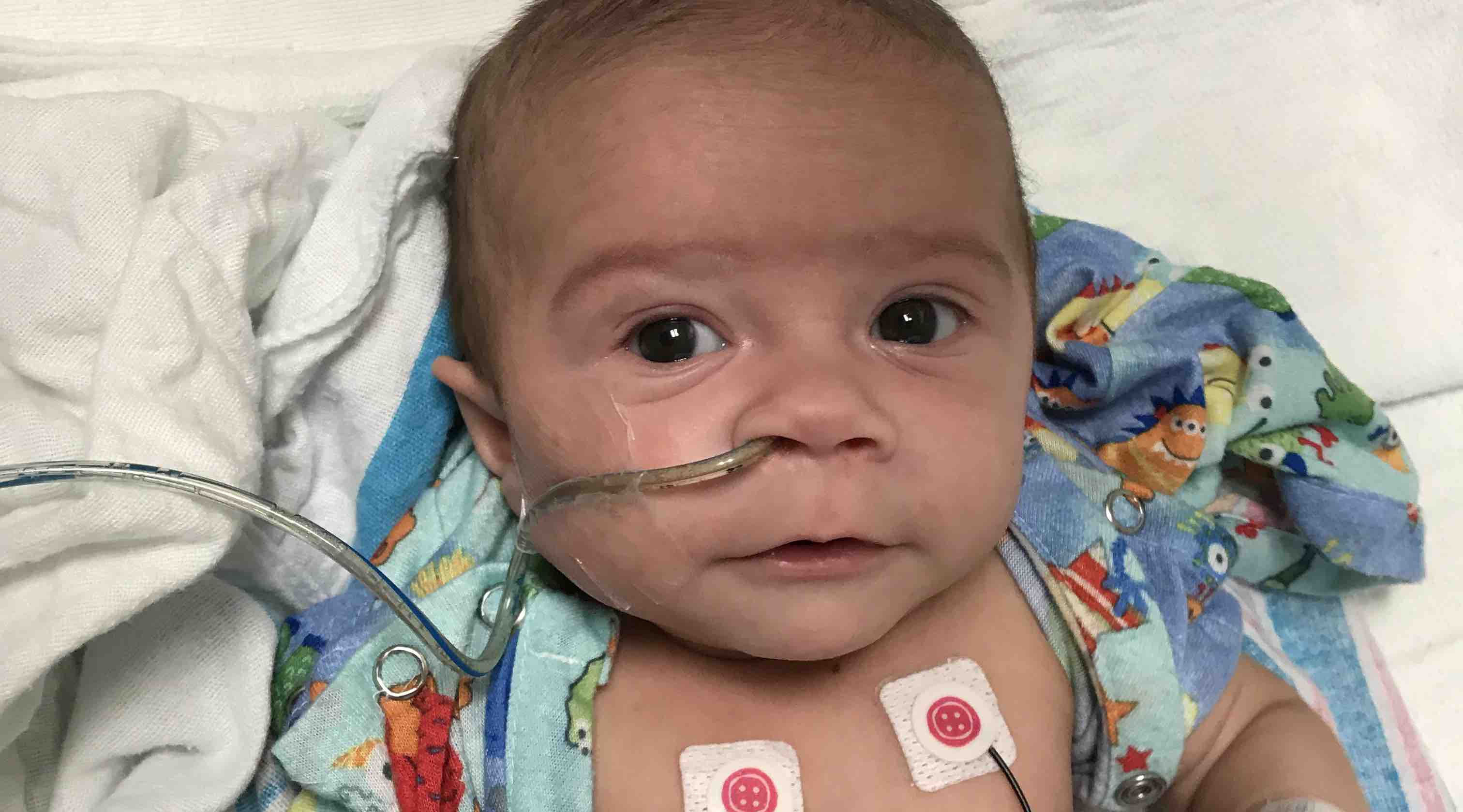 Fundraiser for Amarilys Leach by Sarah Koonan : Baby Paul Leach