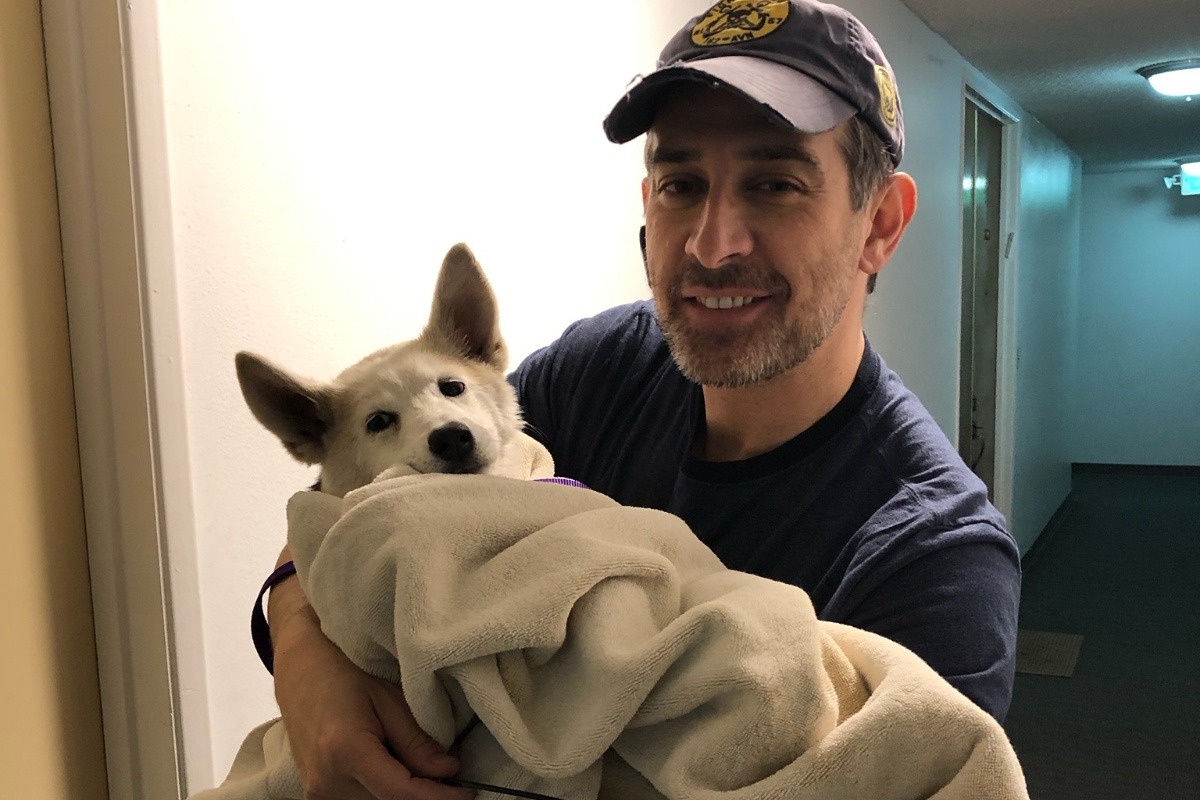 Fundraiser by Sterling Long-Colbo : Blondie & Raven's Dual Femur ...