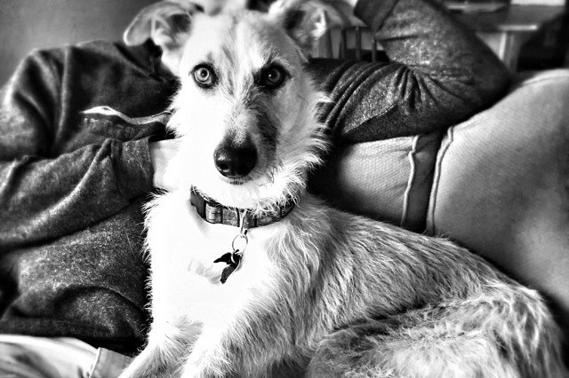 Fundraiser by Ben Bahnsen : Miss Mabel's ICU Stay and Hopeful Recovery