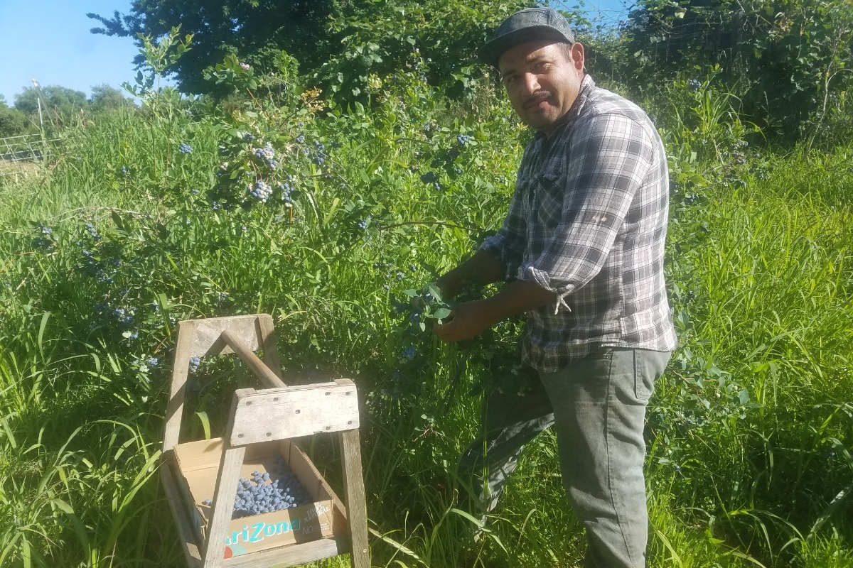 Fundraiser for Guiyecin Ruano by Julie Ansara : Help Amber Oaks Right ...