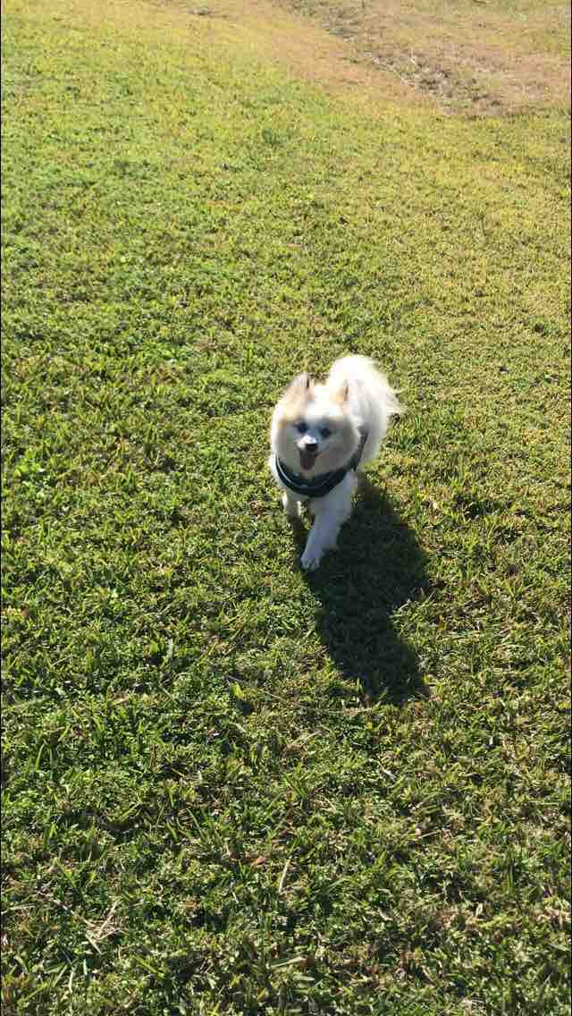 Fundraiser for Edith Banda by Patty Pat : Texas aka Wero Medical Expenses