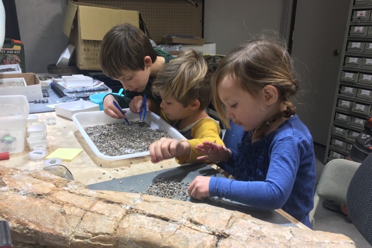 Fundraiser by Andre LuJan : Texas Through Time - Fossil Museum