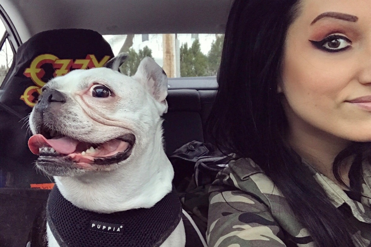 Fundraiser by Jessica Knapik : Please help Bean, Surgery + Radiation