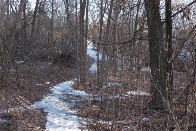 Fundraiser by Cynthia Ahlgren : Save Breck Woods