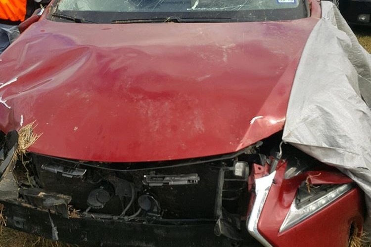 Fundraiser for Kelli Smith by Kate Skinner-Luker : Keep Kelli Smith's ...