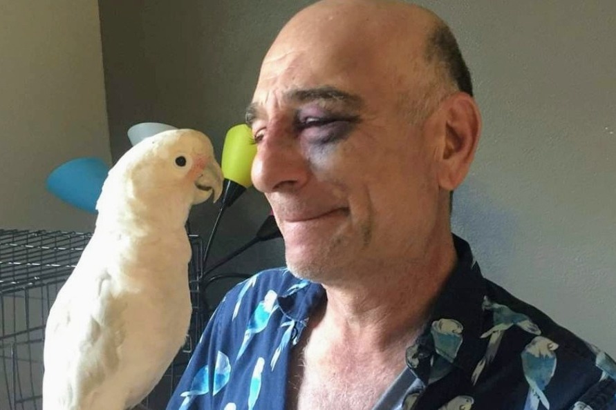 Fundraiser for Diana Escobedo by April Adcock : Birdman Assaulted ...