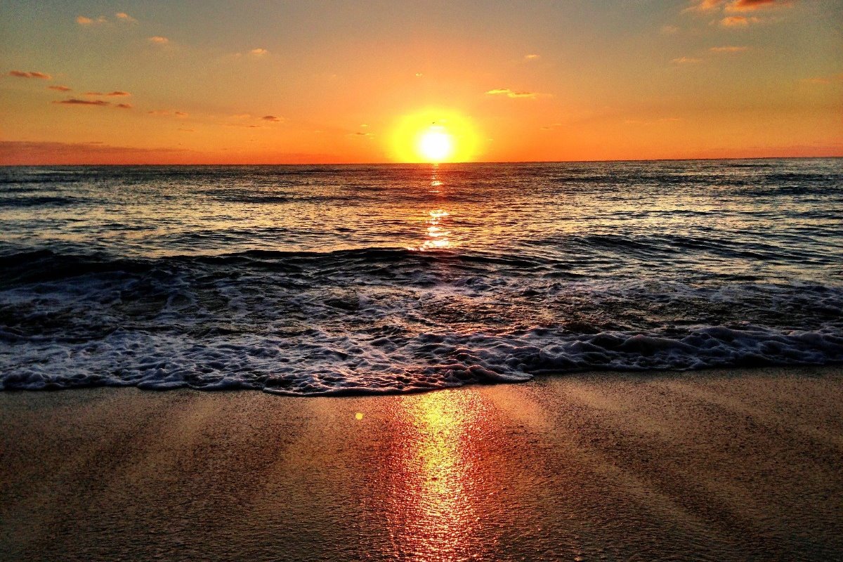 Fundraiser by Timothy Pfeil : Jackie Stroke Recovery Fund