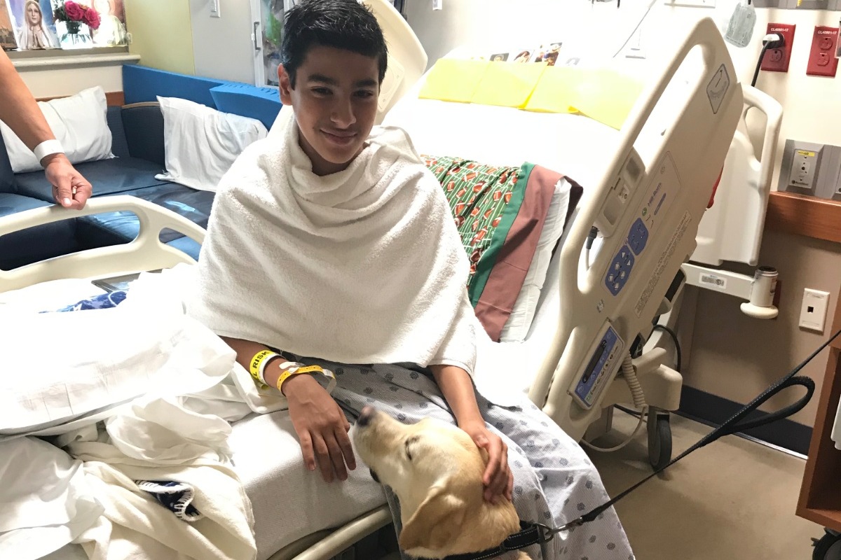 Fundraiser for Rose Escalona by Rosie Carrillo : Help Joshua knock down ...