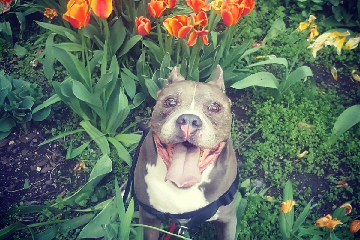 Fundraiser by Pilar Maschi : HELP TREAT & BEAT DADDY'S CANCER!!!!