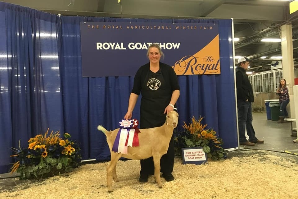 Fundraiser for Patricia Cook by Nancy LaRose : Let's help Patti while ...