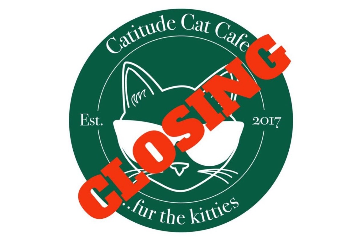 Fundraiser for Jaime Ortega by Kitty Meeting : Rehome Catitude Cat Cafe