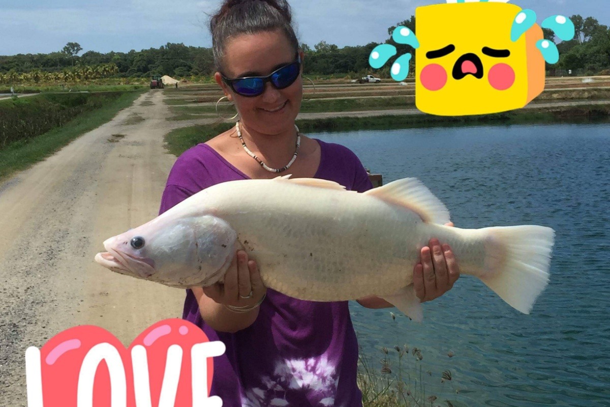 Fundraiser by Jason Machen : Tammy's Fundraiser for Shannon