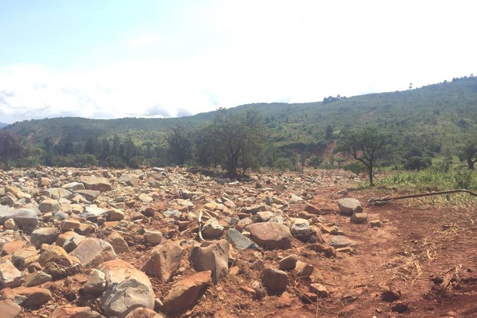 Fundraiser for Claire Bailey by Sarah Gaisford : Dombera Farm - hope to ...