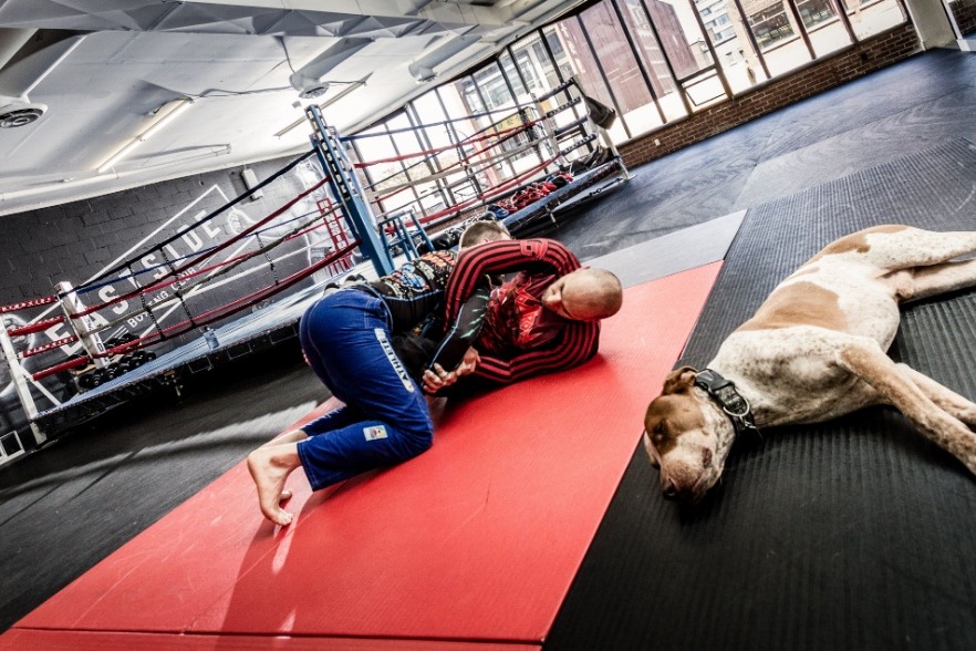 Fundraiser by Meego Yassin : Support my goal to compete at Jiu-Jitsu Worlds