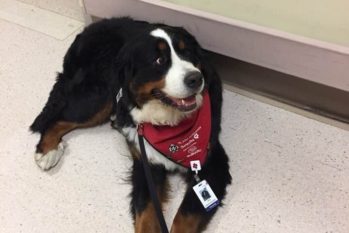 Fundraiser for Tracey Irving by Elaine Corbett : Lets help Tracey and ...