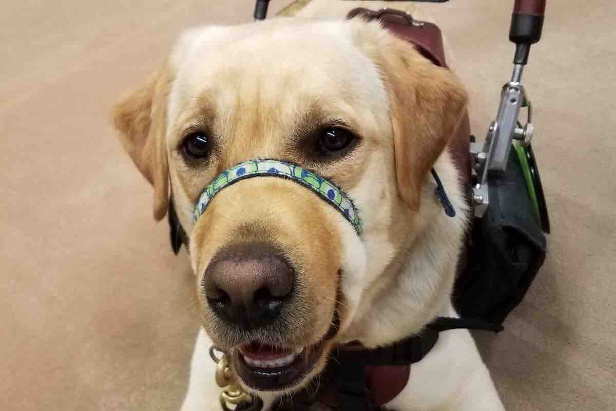 Fundraiser by Victoria Venable : Bring John home to Tori